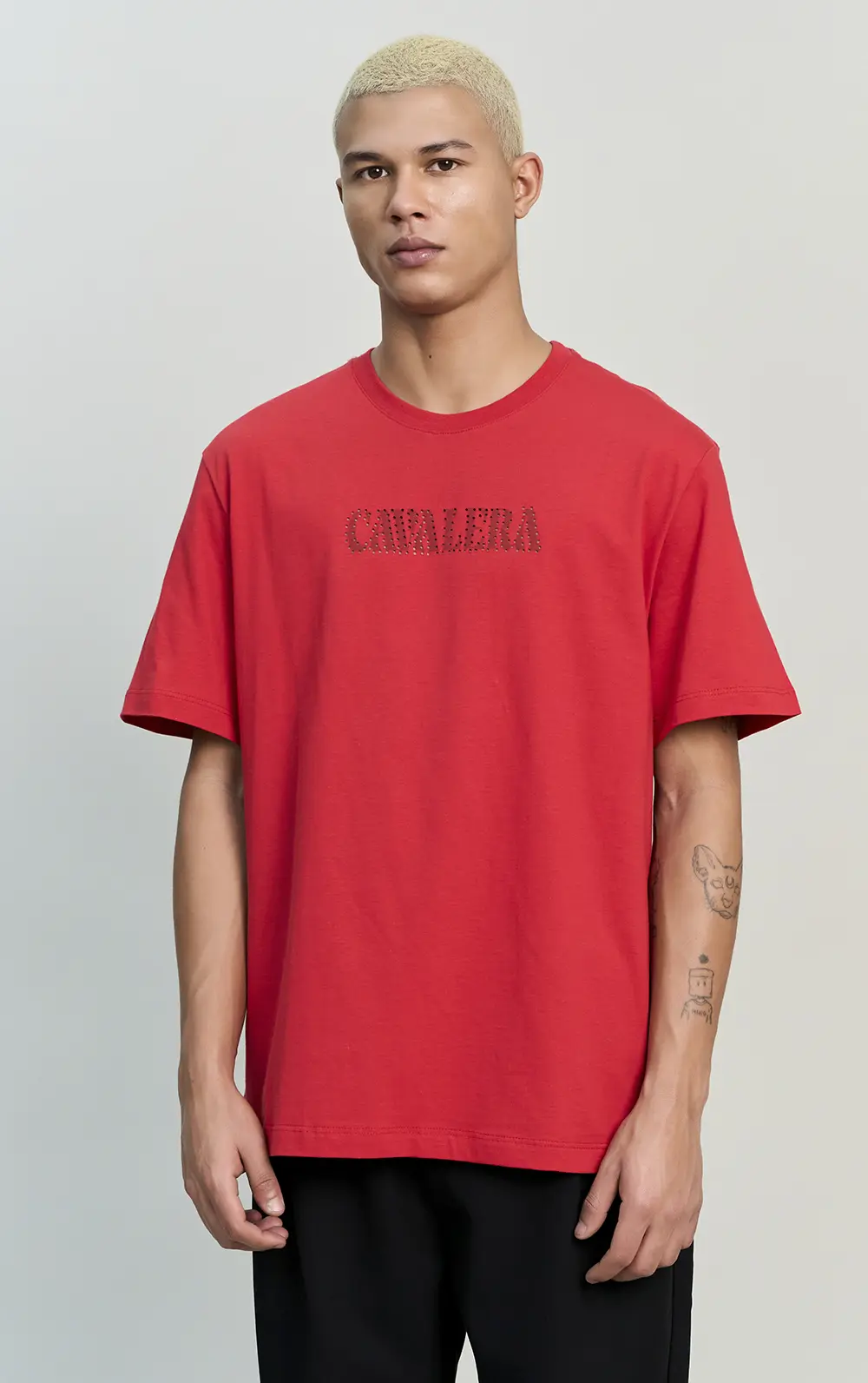 Cavalera